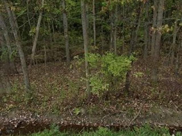 2466 Mile Rd, Ray Township, MI 48096