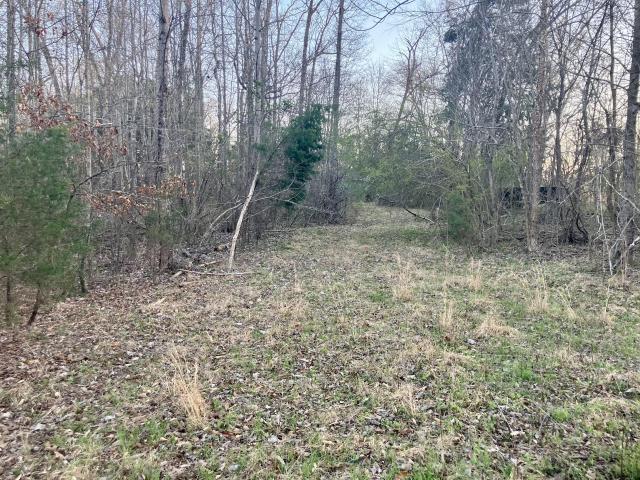 2467 Highway 100, Decaturville, TN 38329 | MLS #3156