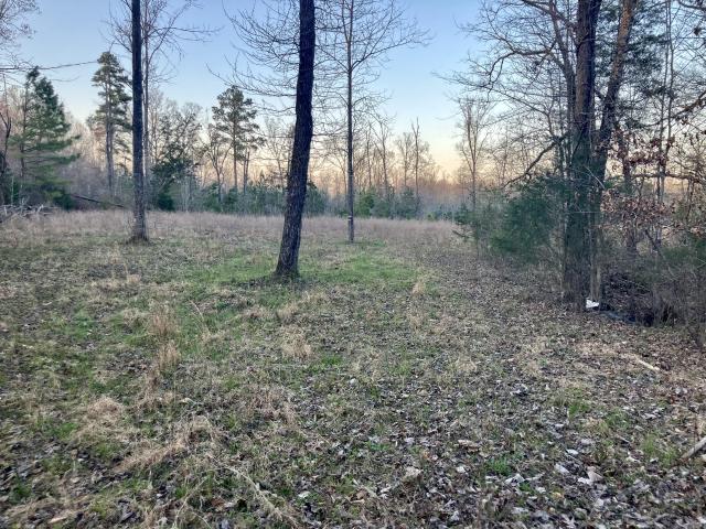 2467 Highway 100 W