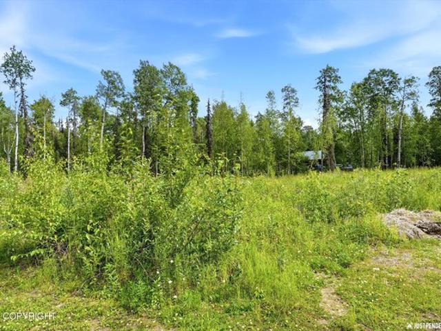 24681 W Sunnyslope Way, Willow, AK 99688