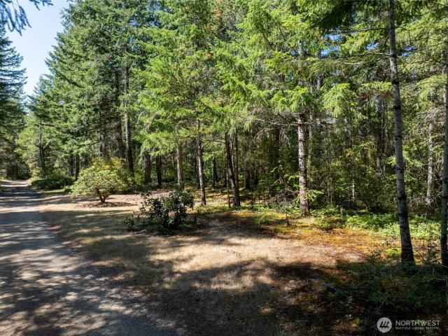 2461 W Hanks Lake Road