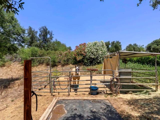 24627 Watt Road