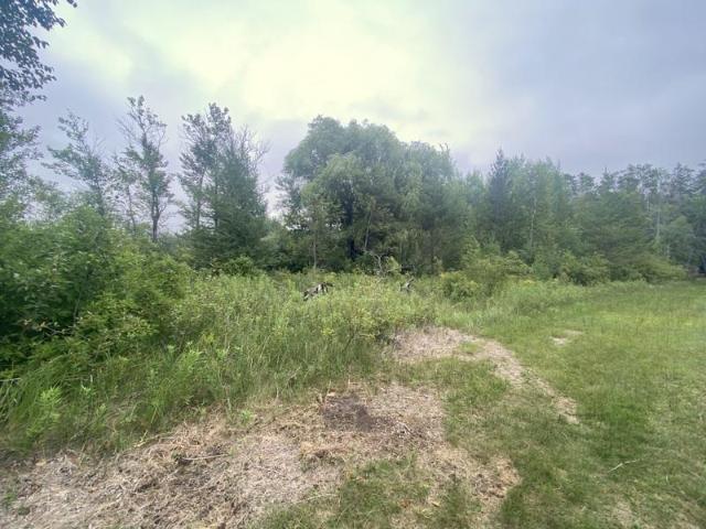 24627 County Road 3