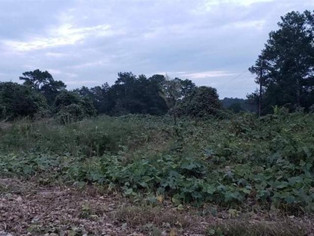 2463 Lake Rockaway Rd NW, Conyers, GA 30012