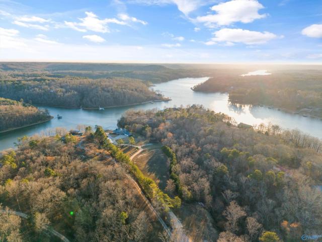 246 County Road 251, Cullman, AL