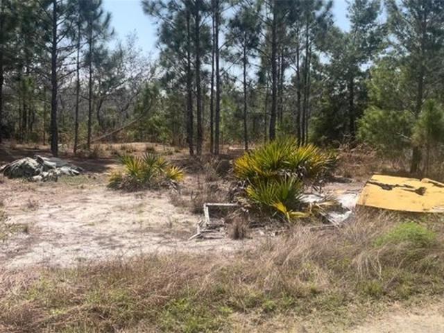 246 Caspian Tern Ave, Sebring, FL 33870