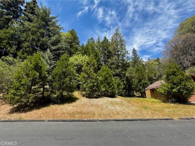 246 Cedar Ridge