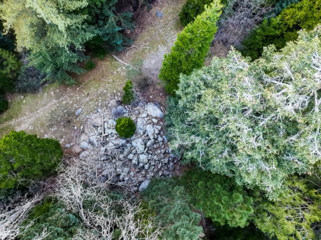 246 Cedar Ridge Drive