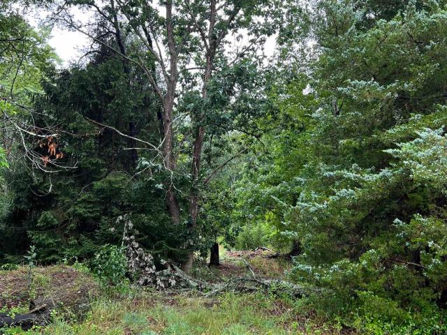 246 Crestview Ave, Galloway Township, NJ 08205 | MLS #609865