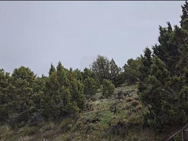 246 Greencrest Dr, Spring Creek, NV 89815