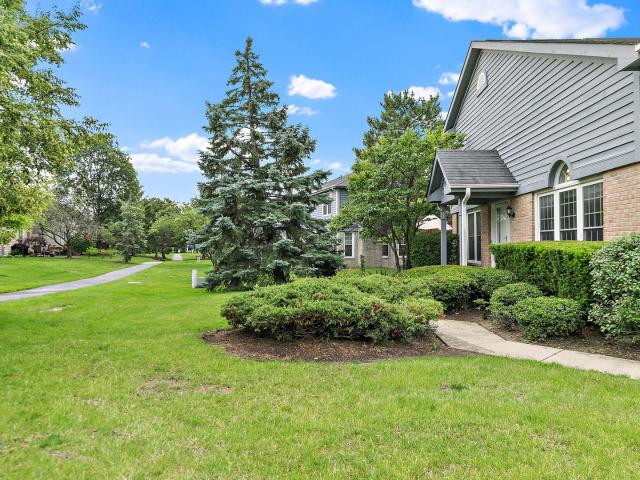 246 Lynwood Lane