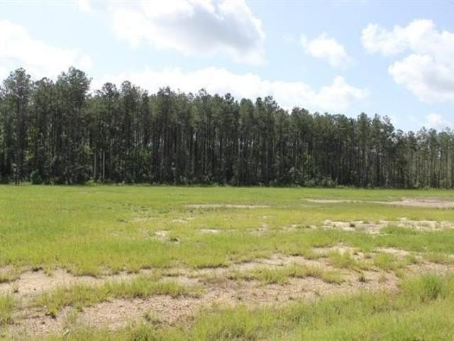 24755 Highway 442 Lot B1, Independence, LA 70443