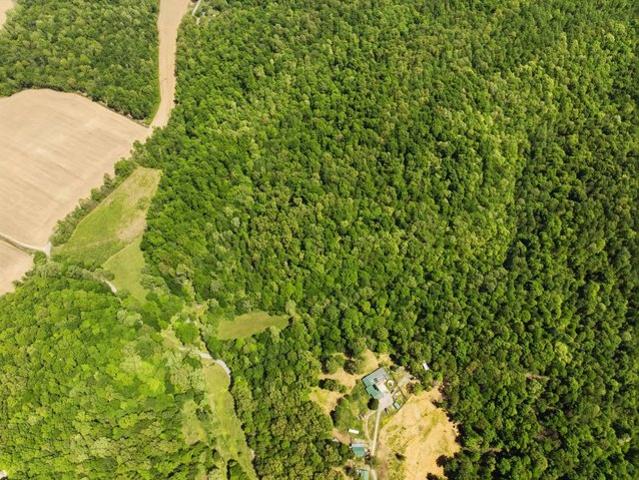 2476 Round Hill Rd, Hartford, KY 42347