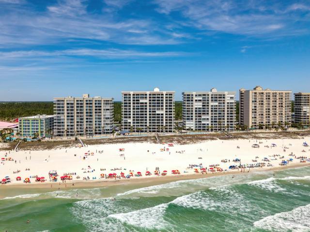 24770 Perdido Beach Boulevard 206