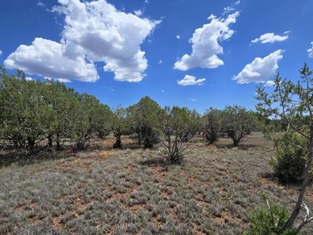 2470 N Luana Dr, Williams, AZ 86046