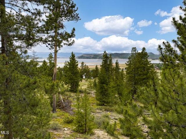 247 GCR 6470, Grand Lake, CO 80447