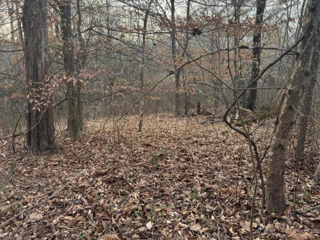 247 Mahoney Rd