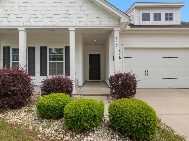 247 Saint Davids Ave
