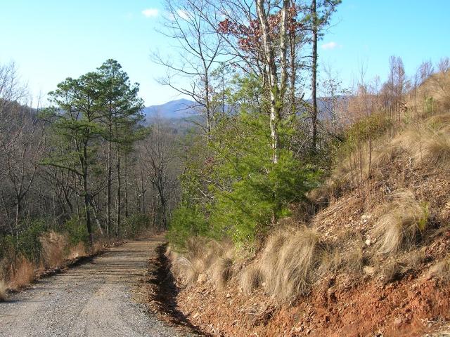 247 Rice Lane # 4
