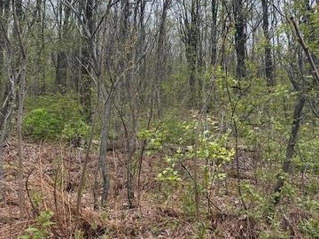 247 Wildcat Rd, Olyphant, PA 18447