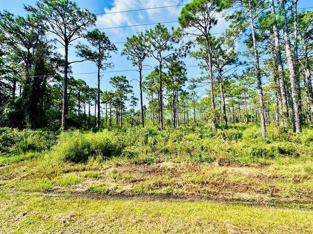 247 Twin Lakes Rd Lot 13, Eastpoint, FL 32328