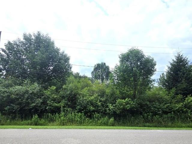 2485 Trellis Pl, Roaming Shores, OH 44084