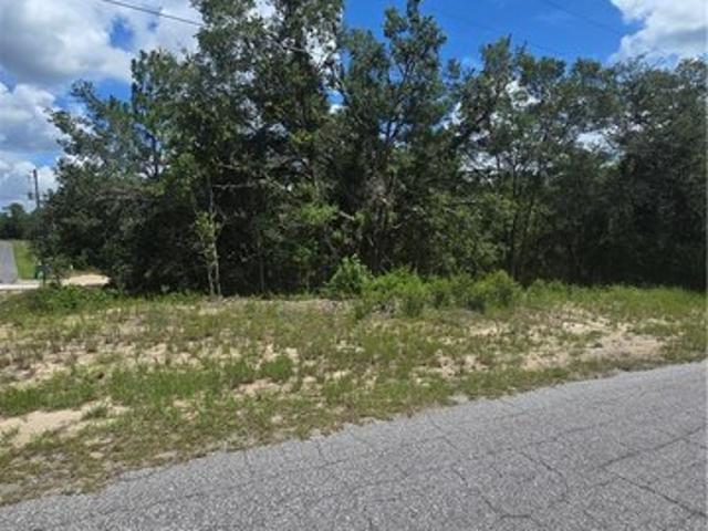 2485 W Braganza St, Dunnellon, FL 34433