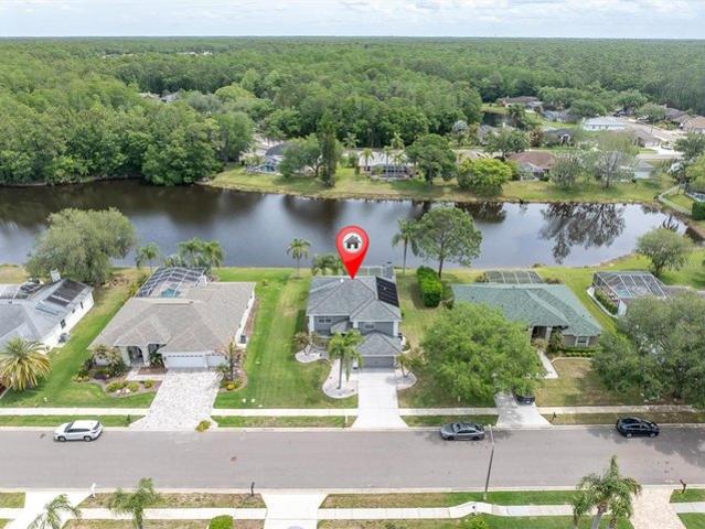 2487 Saddlewood Ln, Palm Harbor, FL 34685