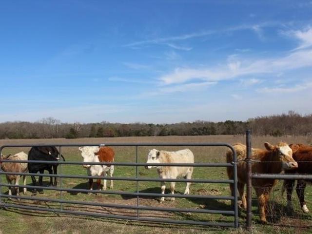 2488 Rs County Road 1525, Point, TX 75472