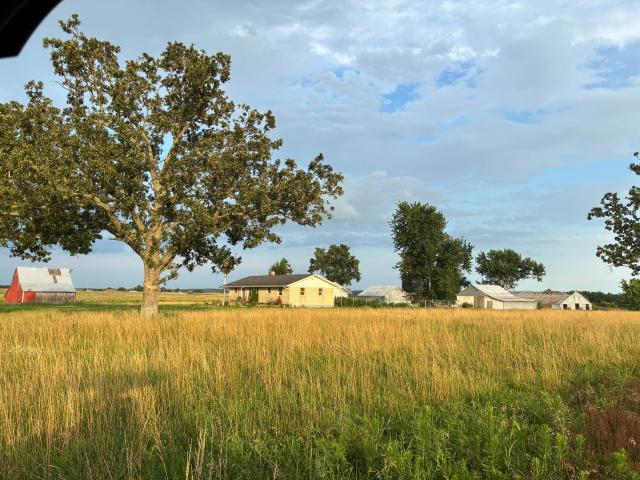 24896 State Highway 38