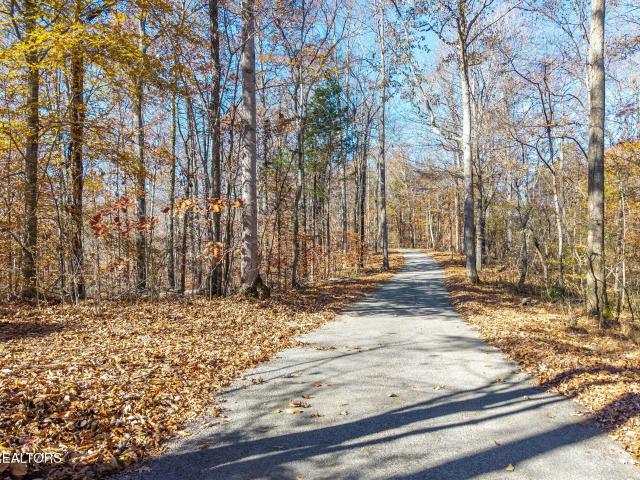 353 Red Bud Lane