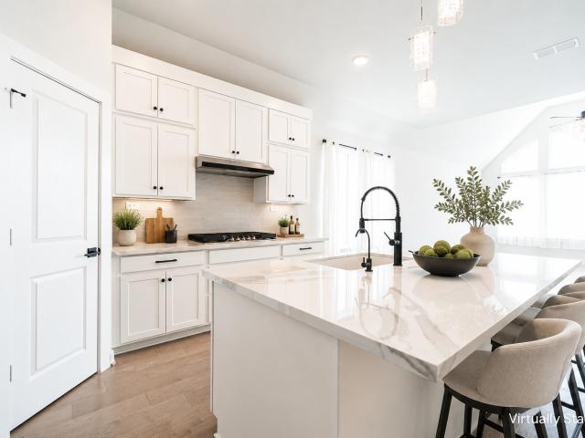 24819 Yellow Spruce