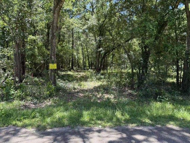 24820 Marks Rd, Splendora, TX 77372