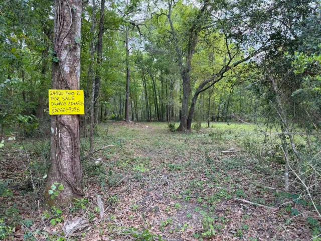 24820 Marks Rd, Splendora, TX 77372 | MLS #23091