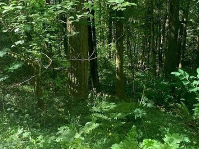 24829 SE Mirrormont Blvd Lot 8, Issaquah, WA 98027