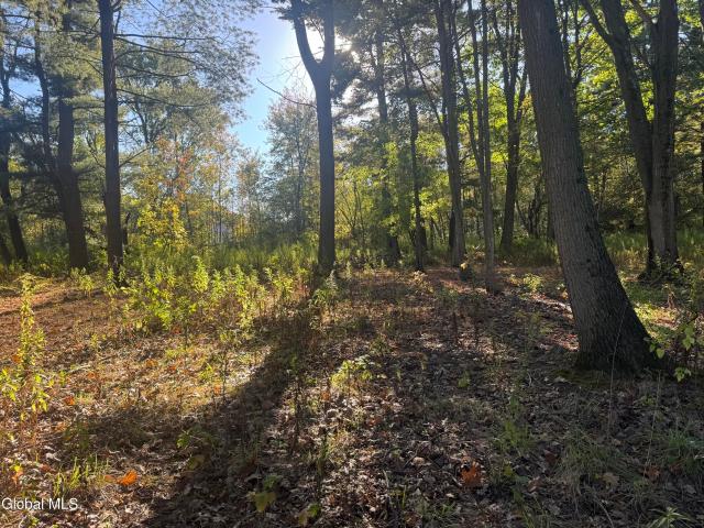 2482 Troy Schenectady Road