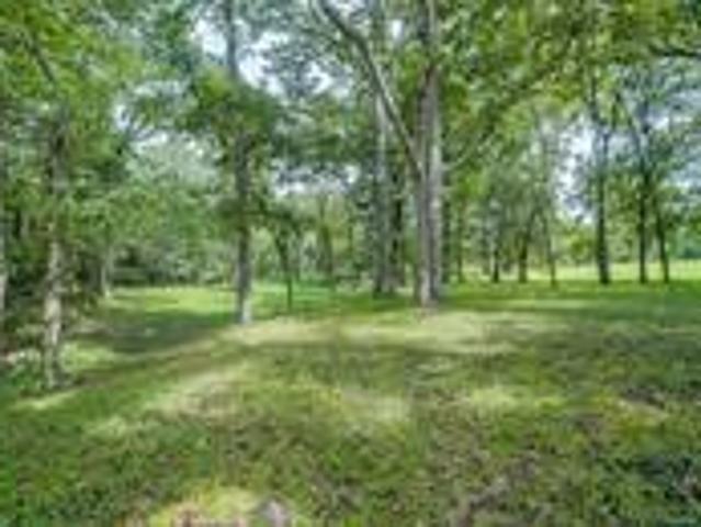 24831 River Terrace Rd, Huffman, TX 77336 | MLS #46781