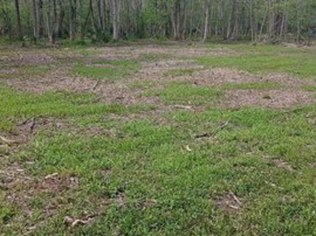 248 County Road 185, Liberty, TX 77575