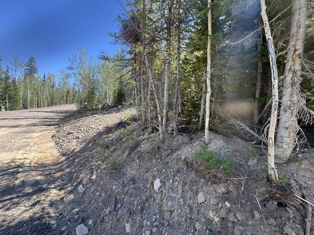 248 E Snowman Unit Shc Unit B Blk C Dr Lot 7, Brian Head, UT 84719