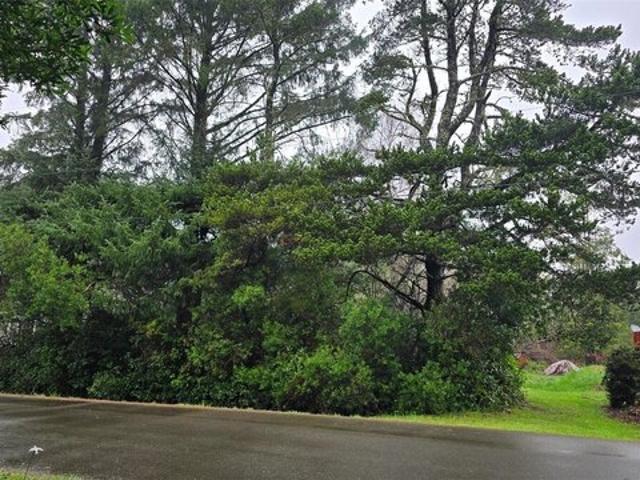 248 Wishkah St SW Lot 230, Ocean Shores, WA 98569