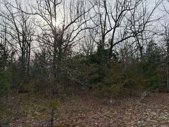2495 E 74 Highway