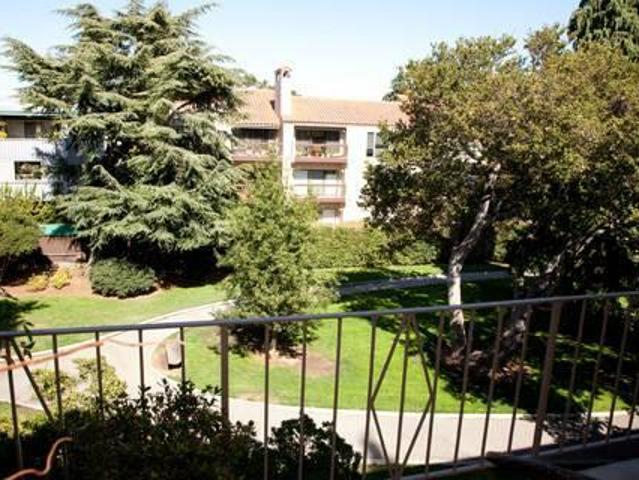 $2495 / 2br 1200ft² San Mateo Central Park