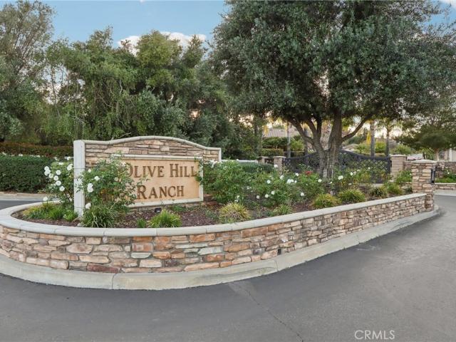 24966 Tyler Place