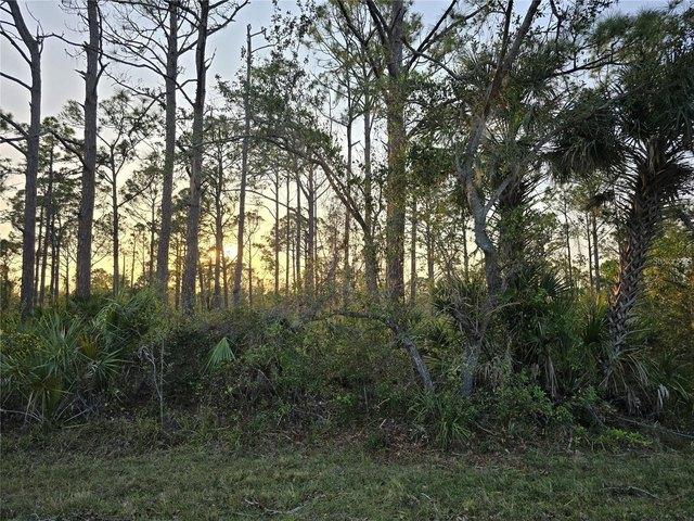 2497 Hoover St, Port Charlotte, FL 33953