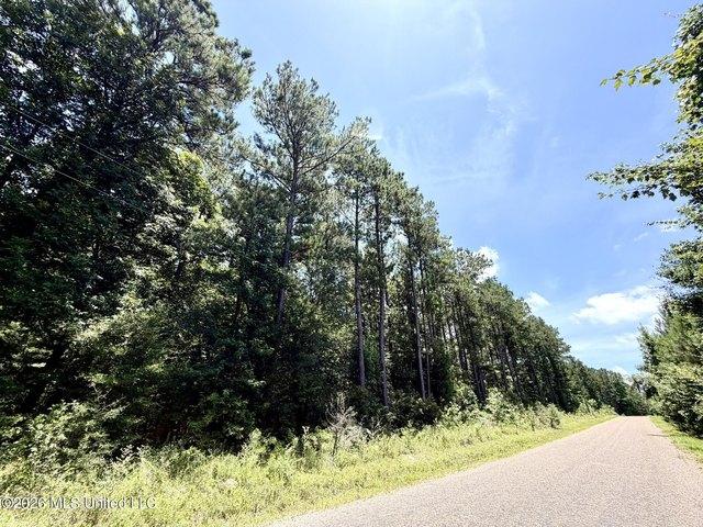 2497 SW Linfrank Line Dr, Smithdale, MS 39664