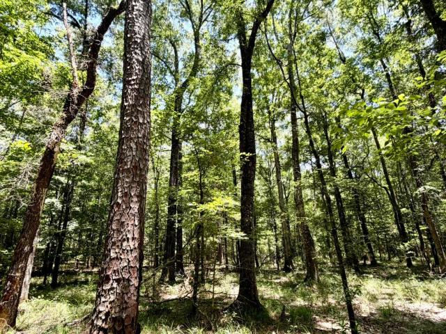 2497 SW Linfrank Line Drive