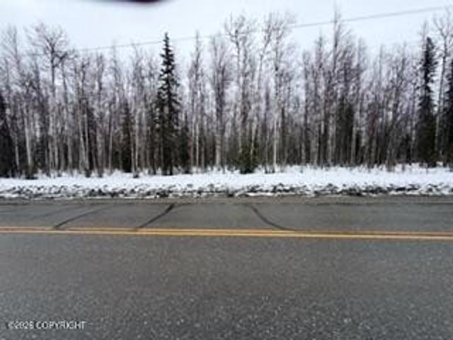 24986 W Long Lake Rd, Willow, AK 99688