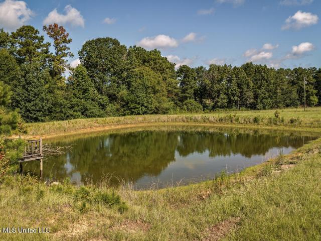 2498 Hilton Lane