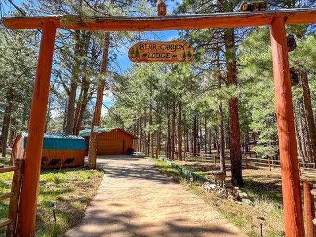 2499 Canyon Dr, Forest Lakes, AZ 85931