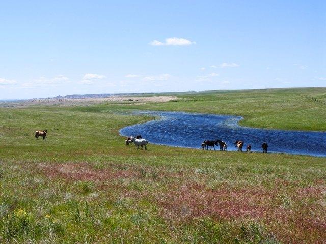 24900 Spring Draw Rd, Scenic, SD 57780